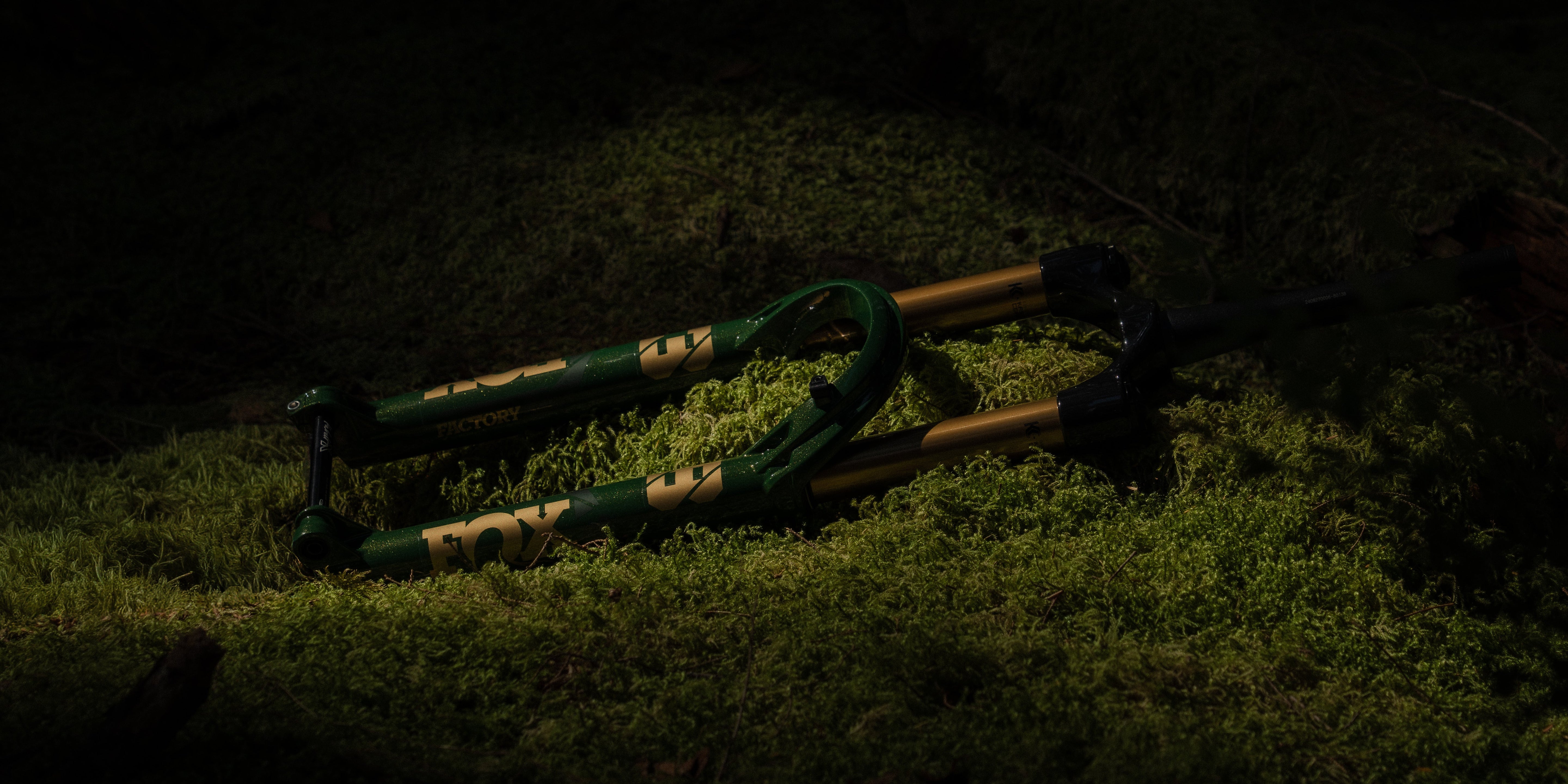 38 MTB Fork Collection. Enduro & eMTB Riding – RideFOX AUS